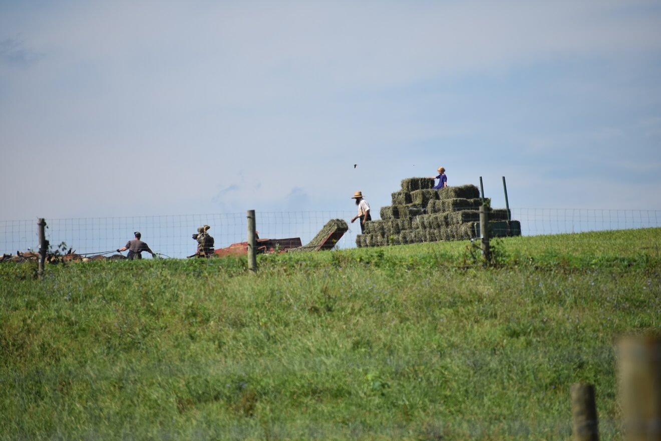 Miller’s Organic Farm: Fighting for Sustainability - The Lancaster Patriot